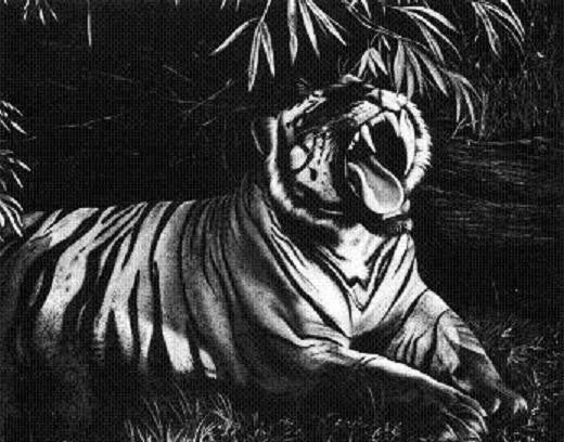 Roaring Tiger – Jerry Winick